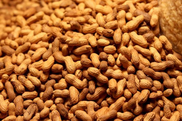 Peanut Export | Leelaprasad International Private Limited
